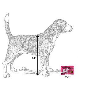 Dog Diggin Designs Credit Card Collection | Unique Squeaky Parody Plush Dog Toys – Don’t Leave Home Without It