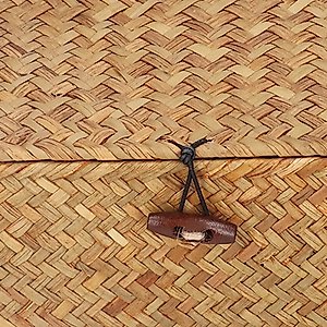 Jiawu Seagrass Baskets, Handwoven Seagrass Storage Bins with Lid, Multipurpose Rectangular Shelf Baskets, Household Boxes with Buckle, Small Rustic Container for Shelves Organizing (L)