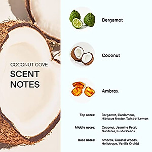 Skylar Coconut Cove Eau de Parfum - Hypoallergenic & Clean Perfume for Women & Men, Vegan & Safe for Sensitive Skin-Fruity Fresh Perfume with Notes of Bergamot, Coconut & Ambrox - 10mL /0.33 Fl oz