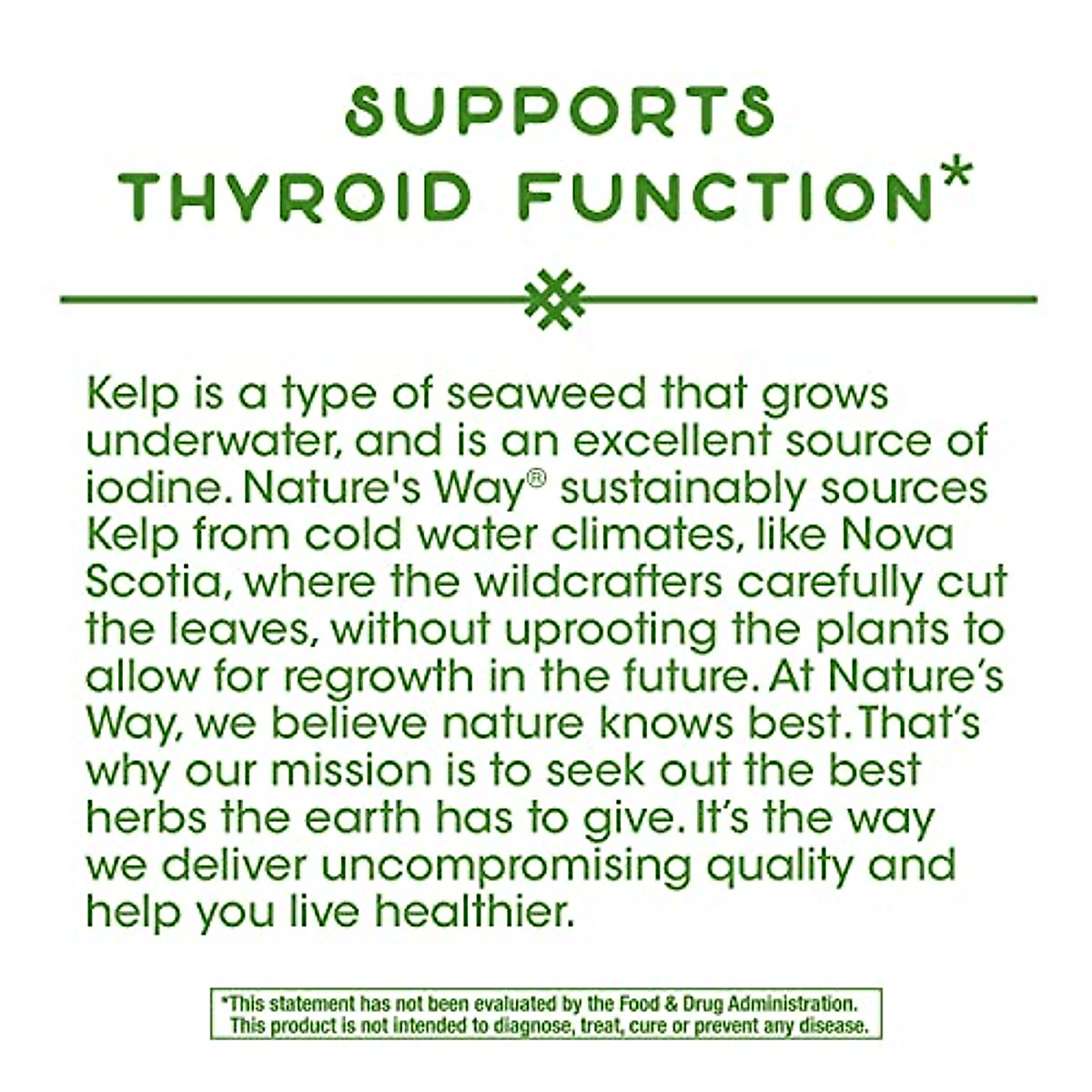 Nature's Way Kelp Supports Thyroid Function* Non-GMO Sustainably Sourced Vegan 180 Capsules