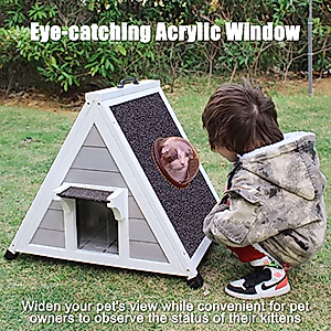 Deblue Weatherproof Outdoor Feral Cat House, Feral Cat House with Escape Door and Clear Window, Small Animal House and Habitats-Grey