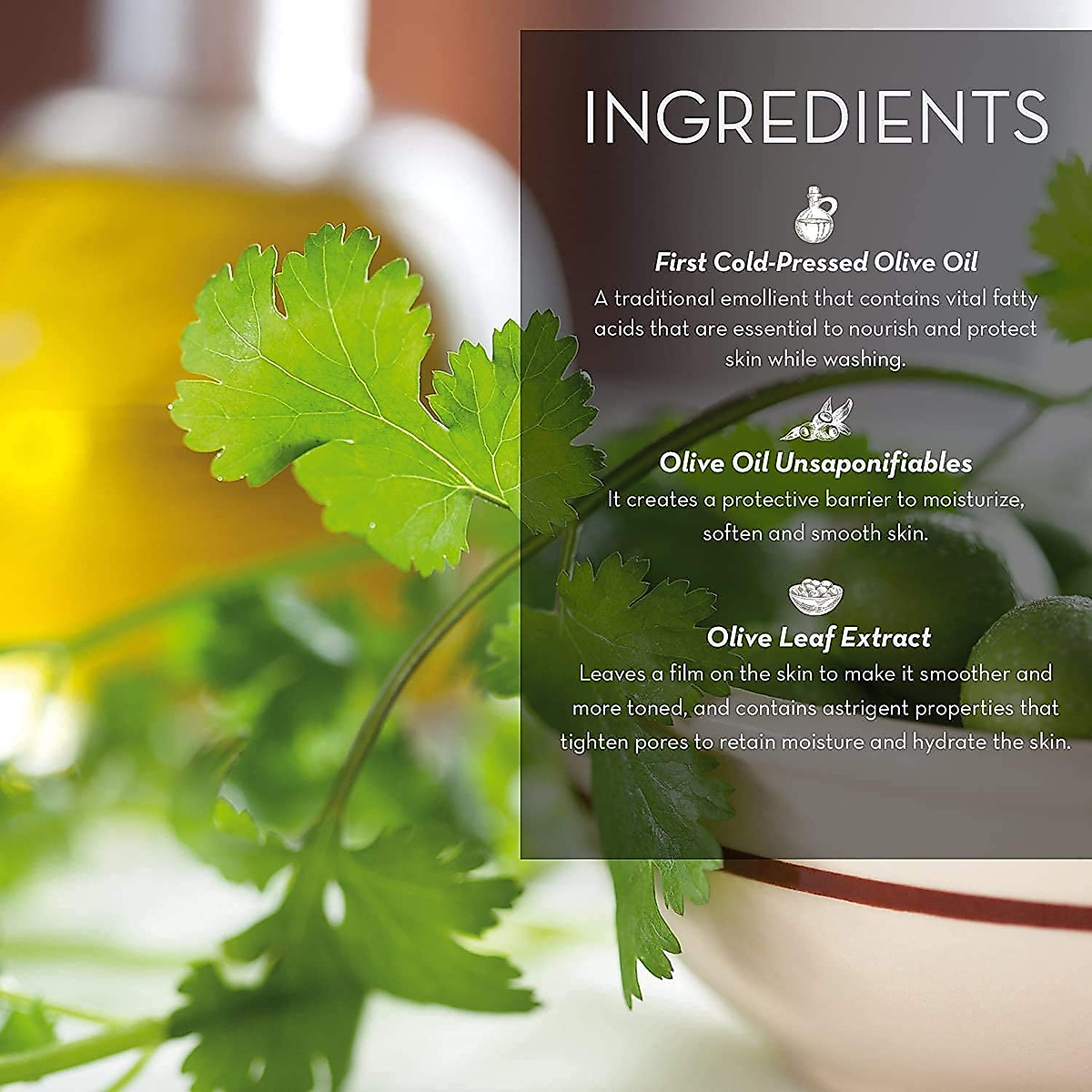 Fruits & Passion [Cucina] - Hand Care Duo Caddy Gift Set | Liquid Hand Soap Wash (5.1 oz) with Hand Cream Lotion (6.8 oz) (Coriander & Olive)