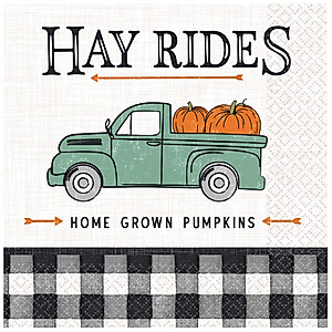 amscan Harvest Market Luncheon Napkins