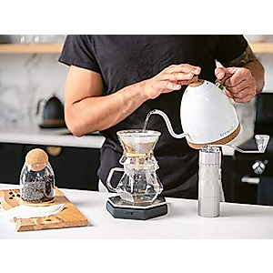 Brewista Artisan Electric Gooseneck Kettle, 1 Liter, For Pour Over Coffee, Brewing Tea, LCD Panel, Precise Digital Temperature Selection, Flash Boil and Keep Warm Settings (Matte Black)