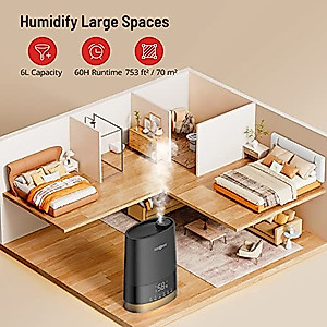 Humidifiers for Large Room,PARIS RHÔNE 6L Ultrasonic Cool and Warm Mist Humidifiers for Home Bedroom,Top Fill Air Humidifier with Remote,Humidity Sensor,LED Panel,Essential Oil, Valentine Gifts