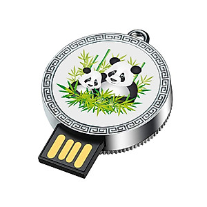 ZJR USB Flash Drive 64GB High Speed Thumb Drive Large Storage USB Memory Stick Jump Drive with Keychain