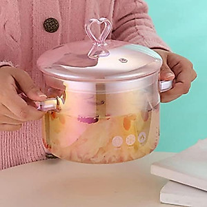 Cooking Pot Lid Retro Double Handle Stew Pot Borosilicate Cookware Soup Stews