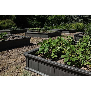 Lifetime 60069 Raised Garden Bed Kit, 4 by 4 Feet, Pack of 3