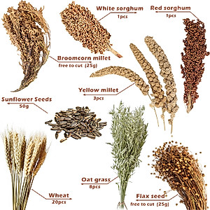 NICERINC PET Natural Ear of Grain Flower&Herb Bedding Mate Habitat Decor, Adding Fun Hamster Accessories for Hamsters Gerbils Lemming