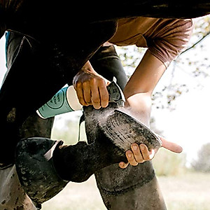 Happy Healthy Hoof Cleaner - Natural Thrush Treatment for Clean Hooves - 16 Ounce Heavy Duty Spray Bottle