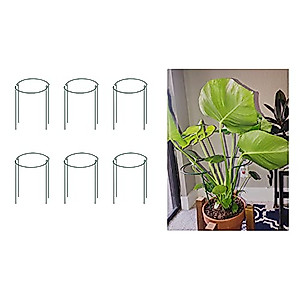 MTB Garden Plant Support Stake, 12-Pack Metal Half Round Tall Plant Support Ring Hoop, 9.5-in Wide x 15.8-in High Plant Cage for Tomato,Peony,Vegetable and Flowers Vine