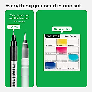 ARTISTRO 12 Watercolor Markers Set – Gift for Girls, Teens & Beginners – Includes Brush Pens, Fineliner and Water Brush – Vibrant, Non-Toxic, Washable – Ideal for Art, Calligraphy & Fun