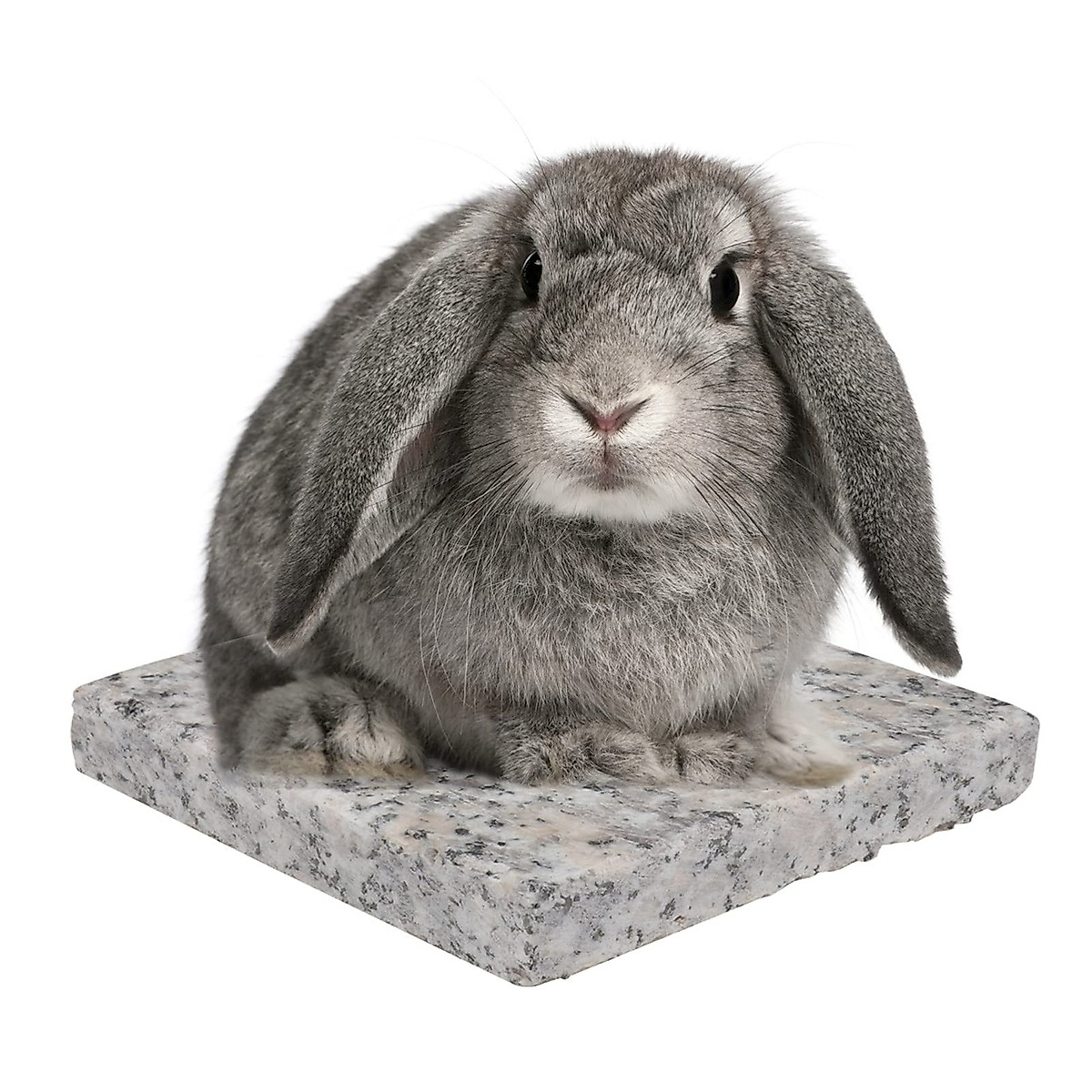 STOBOK 2Pcs Pet Cooling Mat, Granite Material, 9x9cm, Rabbit, Hamster, Chinchilla