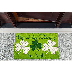 DII Indoor/Outdoor Natural Coir Fiber Spring/Summer Doormat, 17x29, Top of The Mornin' to Yah!