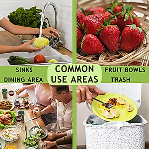 Fruit Fly Trap - Fruit Fly Trap for Indoor, Flying Insect Trap, Gnat Trap Indoor Trap, Fruit Fly Traps for Indoors, Indoor Fly Trap with Yellow Sticky Pads & Attractant for Home, Kitchen