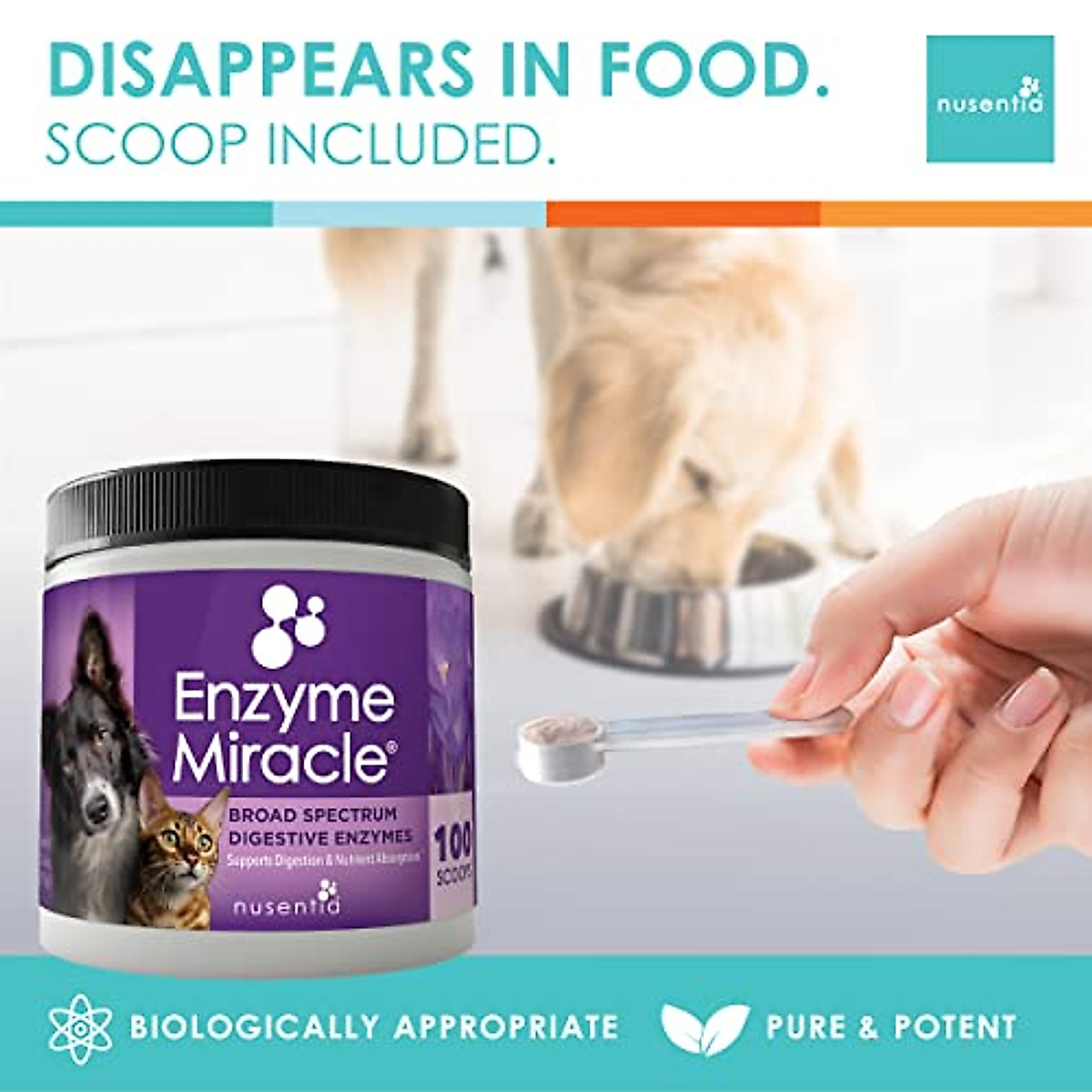 Enzymes for Cats & Dogs : Enzyme Miracle® (100 Servings) : for Digestive Stress, Pancreatic Concerns, and Healthy Weight Management.