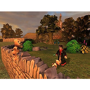 Harry Potter and the Chamber Of Secrets PS2 (Renewed)