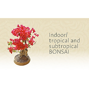 The Bonsai Beginner's Bible