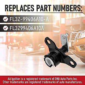 Tailgate Damper Kit - Compatible with Ford F-150 2015, 2016, 2017, 2018, 2019, F-150 Raptor 2017-2019 - Replaces FL3Z-99406A10-A, FL3Z99406A10A - Tail gate Assist Shock Strut - Lift Support Kit