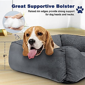 FURTIME Medium Dog Beds for Medium Dogs, Washable Dog Bed Orthopedic Rectangle Puppy Pet Bed, Durable Calming Dog Sofa Bed Soft Sleeping with Anti-Slip Bottom M (25"x21"x8")