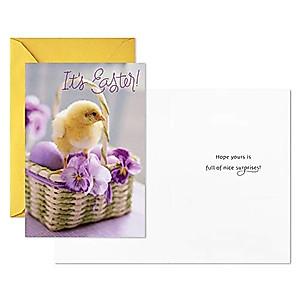 Hallmark Easter Cards Assortment, Easter Bunnies (8 Cards with Envelopes)