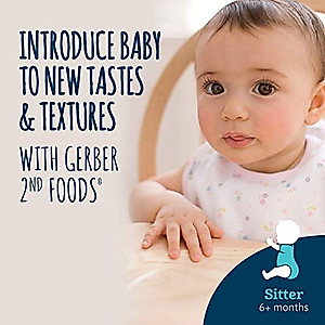 Gerber Mealtime for Baby 2nd Foods Baby Food Gravy Jars, Turkey & Gravy, Non-GMO Pureed Baby Food with Protein & Zinc, 2.5-Ounce Glass Jars (Pack of 20 Jars)