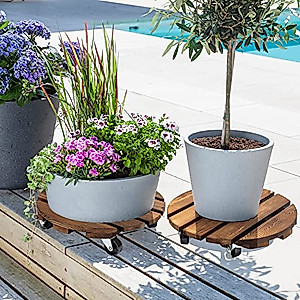 Yangbaga 2pack Plant Caddy 12’’Wood Duty Rolling Plant Stand with 2 360° Lockable Caster Wheels,Indoor Outdoor on Roller Patio/Flower Pot/Succulent Pots