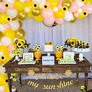 Sunflower Balloon Garland Arch Kit Pink Yellow, You Are My Sunshine Banner Party Decorations, Artificial Sunflower for Girls Birthday Party, Baby Shower, Wedding, Graduation, Anniversary