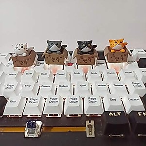 Mirai Past Cat Keycap Esc keycaps DIY Personality Custom Cartoon Anime Keycap Replacement Bottom Backlit Keycaps Gift for Mechanical Keyboard KeyCap OEM R4 Height (Transparent) (Grey), 3.5x3.5x2cm