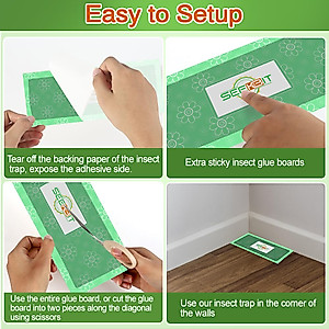 30 PCS Cricket Traps Indoor for Trapping Insects, Mice, Spiders, Bugs, Crickets, Scorpions, Roaches, Super Sticky & Non-Toxic Glue Board Pre-Baited with Fruity Scent Attractant - 9.5 x 3.15 in