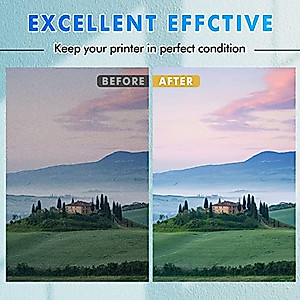 Koala Printhead Cleaning Kit, Printer Cleaning Kit 120ml Compatible with Epson/Canon/Brother/HP Inkjet Printers ET-2720 ET-2803 ET-4800 ET15000 WF7710 XP4105 etc.