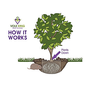 VOLE KING Plant Baskets - Gopher and Vole Baskets, 15 Gallon, Pack of 1 - Protect Plants, Trees, Flowers and Bulbs from Voles, Gophers and Moles - A One Time Solution, No Repellent Needed