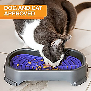 Neater Pets - Neat-LIK with Mess-Proof Tray Keeps Floors Clean - Slow Feeding Pad for Dogs & Cats - Relieves Anxiety & Cures Boredom - Fill Licking Pad with Treats & Food (Purple & Gunmetal)