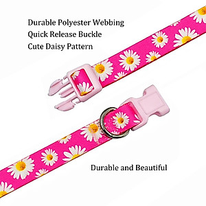 Olahibi Dog Collar and Leash Set, Cute Pink Daisy Pattern, Polyester Material, 5ft Leash, for Small Dogs.(S, Daisy Set)