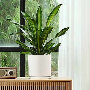 Kazeila Plant Pots Ceramic Planter for Indoor Outdoor Plants Flowers 10 Inch Matte White Large Cylinder Flower Pot with Saucer and Drainage Hole,Glazed Finish Interior and Exterior