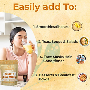 MEGAPLANTS Organic Sea Moss | Makes 228 Servings of Seamoss Gel | Pre-Washed | Wildcrafted | Immune Booster | Strengthen Hair, Skin, Nails & Joints