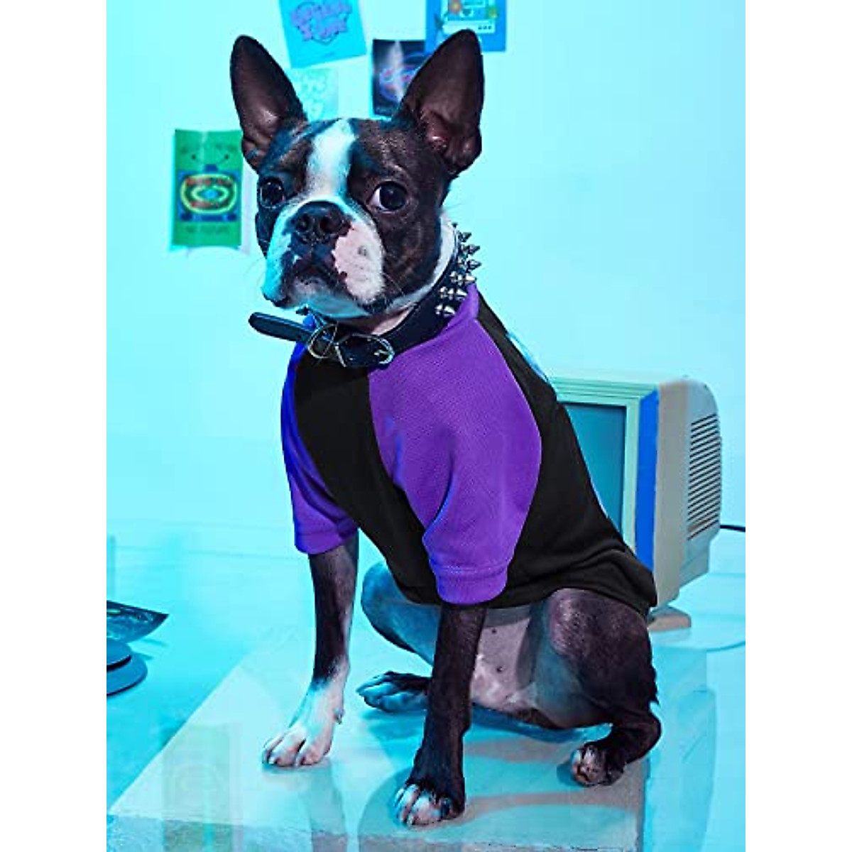 QWINEE Y2K Dog Tee Shirt Butterfly Print Colorblock Puppy T Shirt Soft Stretchy Shirts Pet Apparel for Small Medium Cats Dogs Black L