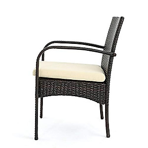 Christopher Knight Home Cordoba Outdoor PE Wicker Dining Chairs, 2-Pcs Set, Multibrown