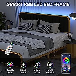 DOGIBIXO Gold Bed Frame King Size with LED Lights, Black Upholstered Bed Frame with Tufted Headboard and Footboard, Metal Slats Support, Noise-Free, No Box Spring Needed