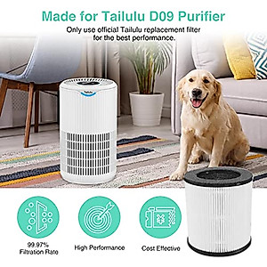 Tailulu Air Purifier Replacement Filter for D09 Air Cleaner, 3-in-1 True H13 HEPA Filter, High-Efficiency Activated Filter, 1 Pack