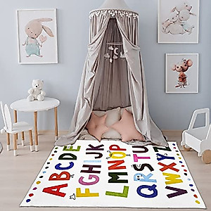 Luxixiry ABC Alphabet Kids Rug, Cotton Soft Plush Play Mat for Playroom Bedroom Living Room Playmat Home Décor (White, 2.6' x 3.9')
