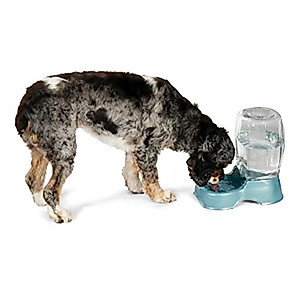 Petmate Pet Cafe Waterer Cat and Dog Water Dispenser 4 Sizes, Pearl White