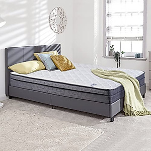 Treaton, 10-Inch Medium Plush Hybrid Euro Top Foam Encased innerspring Mattress/Improves Sleep by Reducing Back Pain, Queen