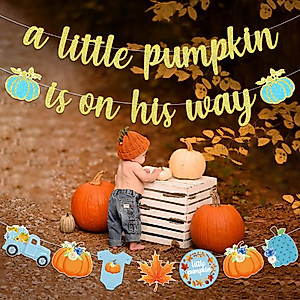 A LITTLE PUMPKIN IS ON THE WAY Banner And Little Pumpkin Hanging Swirls,Little Pumpkin Banner,Thanksgiving/Fall Baby Shower Decorations for Toy And Game