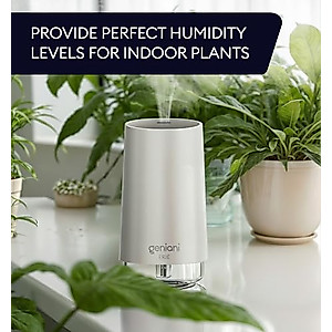 GENIANI Portable Small Cool Mist Humidifiers 250ML - USB Desktop Humidifier for Plants, Office, Car, Baby Room with Auto Shut Off & Night Light - Quiet Mini Humidifier (White)