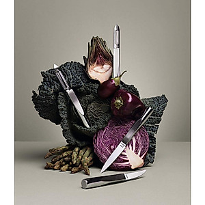 DEGRENNE | Luxury French Kitchen Peelers | L'Econome by Starck Collection | Set of 4 | Satinless Steel