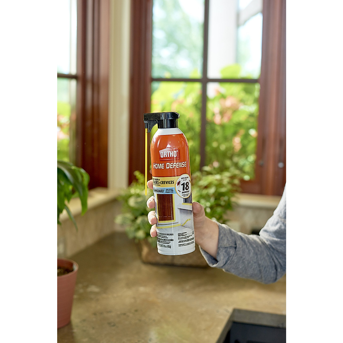 Ortho Home Defense Insect Killer for Cracks & Crevices - Spray Foam ...