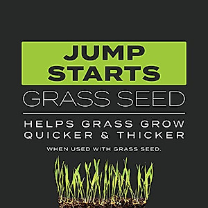 Scotts Turf Builder Triple Action Built For Seeding: Covers 4,000 sq. ft., Feeds New Grass, Lawn Weed Control, Prevents Crabgrass & Dandelions, 17.2 lbs.
