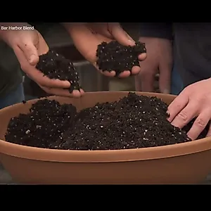 Coast of Maine Organic & Natural Bar Harbor Blend Potting Soil - Organic Soil w/Perlite for Enhanced Drainage & Aeration - for Flowers, Herbs & Veggies, Floral Baskets & Container Gardening (1 cu ft)