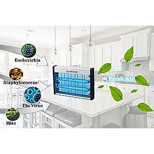 BAIMNOCM UV Disinfection Lamp Hanging Mite Odor Mold Removal Germicidal Lamp with Remote Control Timer UV-C Light Sanitizer with Ozone for Basement Kitchen